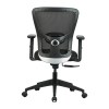 Featherlite Astro Medium Back Mesh Chair with Padded Lumbar Support ...