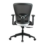 Featherlite Astro Medium Back Mesh Chair with Padded Lumbar Support ...