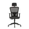 Featherlite Astro High Back Mesh Chair with Padded Lumbar Support ...