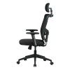Featherlite Astro High Back Mesh Chair with Padded Lumbar Support ...