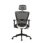 Featherlite Astro High Back Mesh Chair with Padded Lumbar Support ...