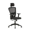 Featherlite Astro High Back Mesh Chair with Padded Lumbar Support ...